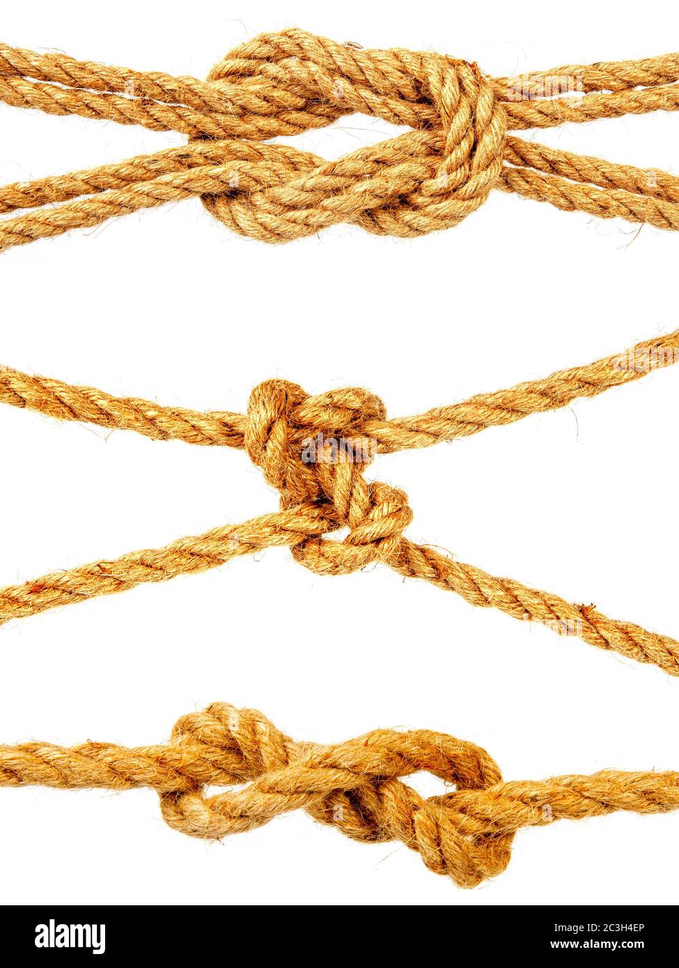 set of sea knots Stock Photo - Alamy