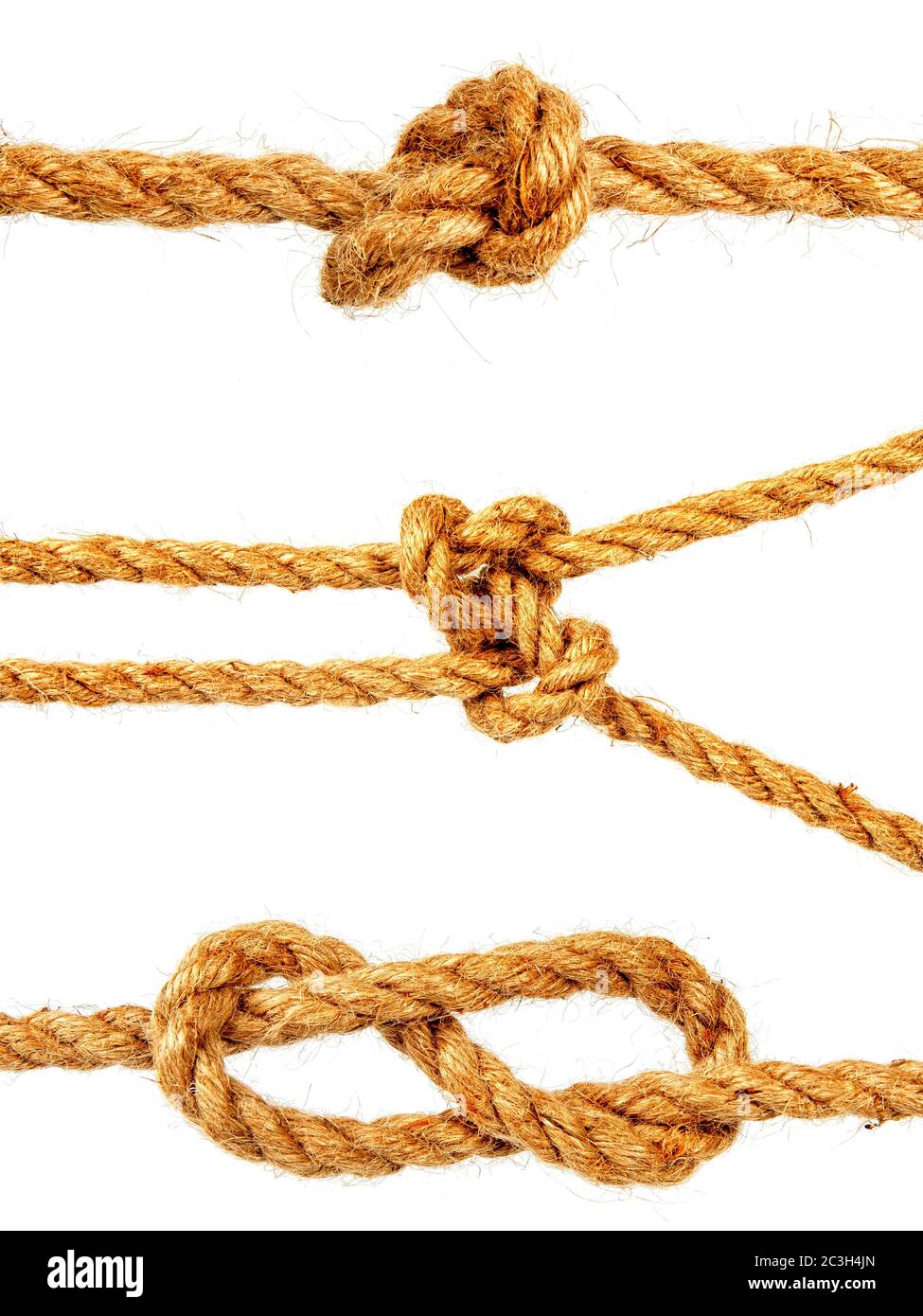 set of sea knots Stock Photo - Alamy