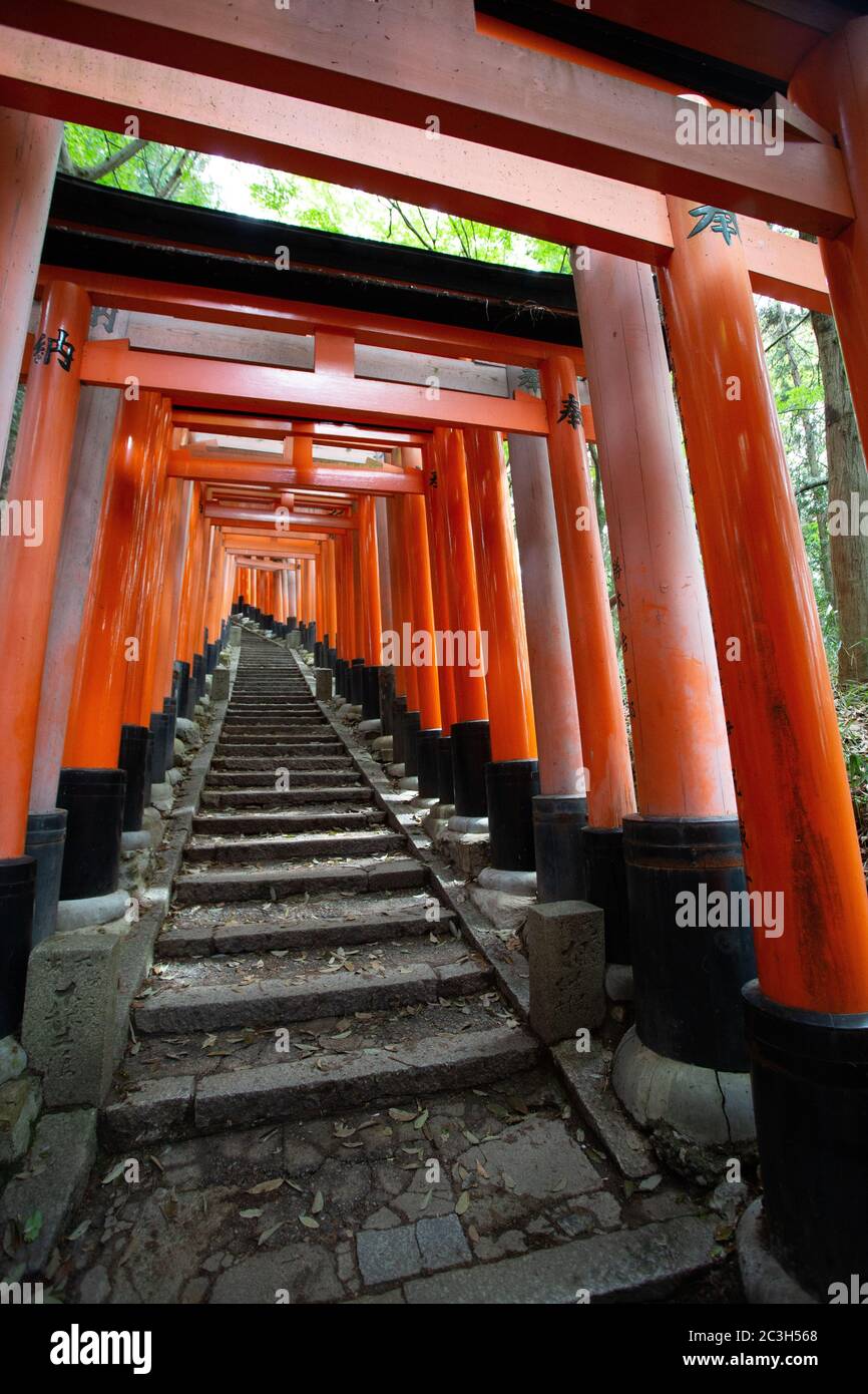 Tori gate hakone hi-res stock photography and images - Alamy