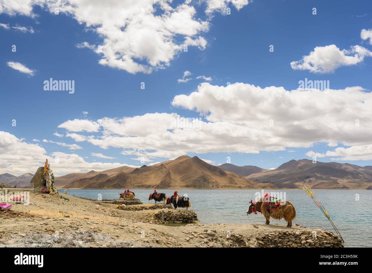 Yak yamdrok lake tibet hi-res stock photography and images - Alamy