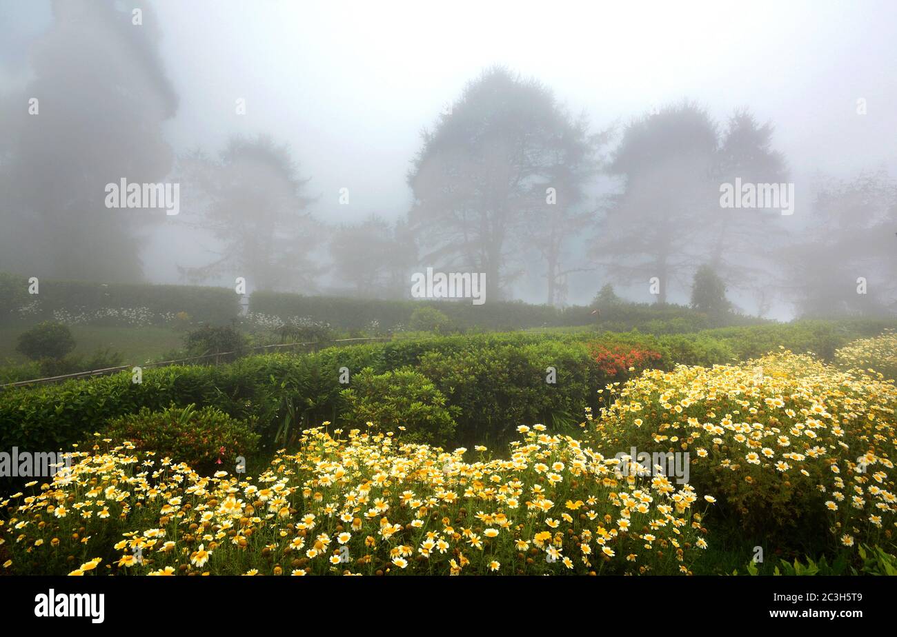 The Batasia Loop is a spiral railway created to lower the gradient of ...