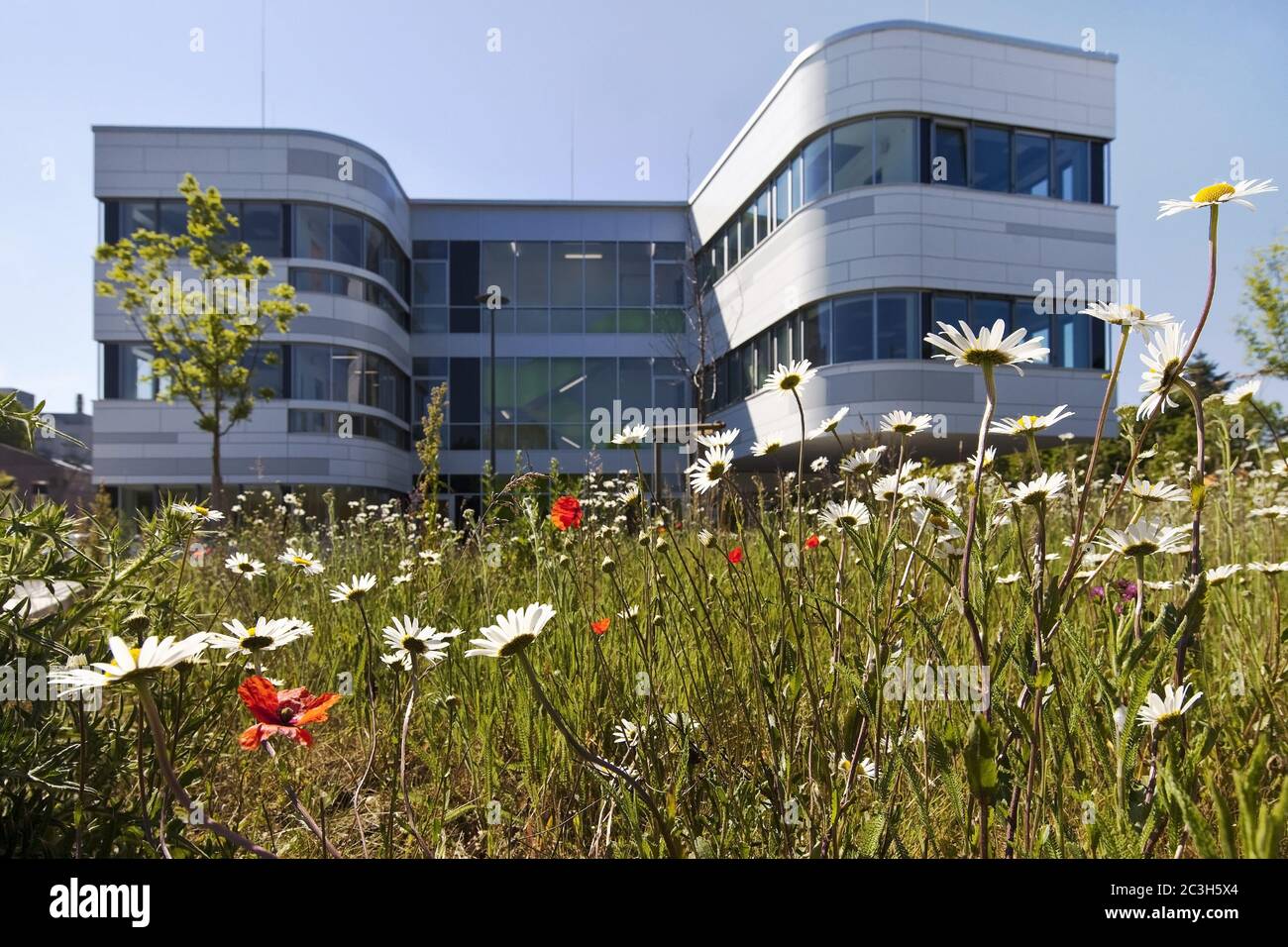 Heinrich heine university hi-res stock photography and images - Alamy