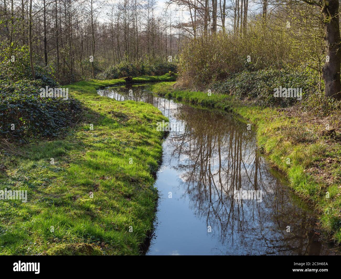 Samll tree hi-res stock photography and images - Alamy