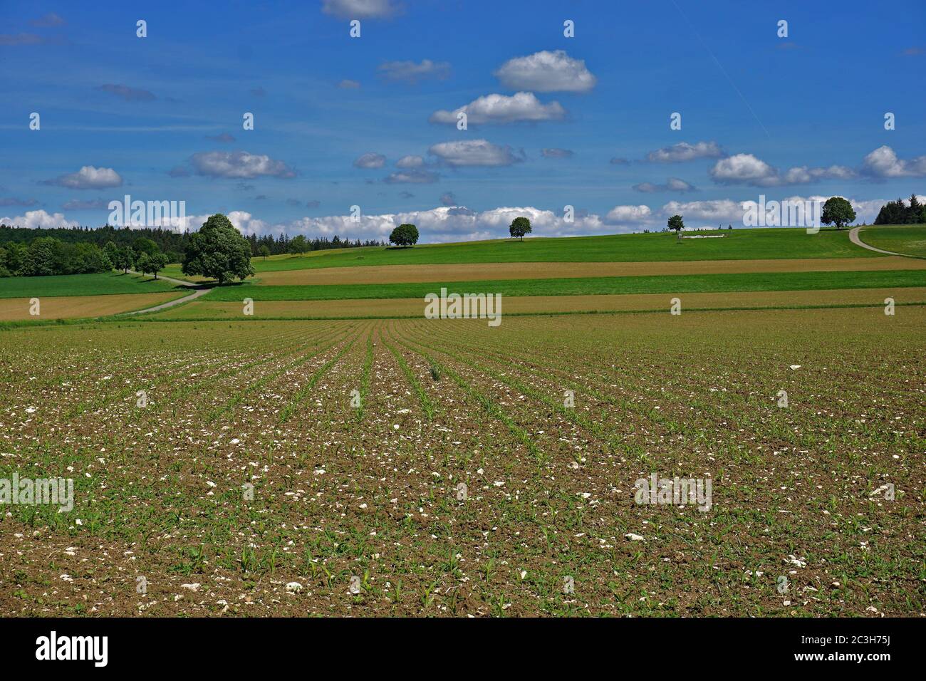 landscape on the swabian alps, germany Stock Photo - Alamy