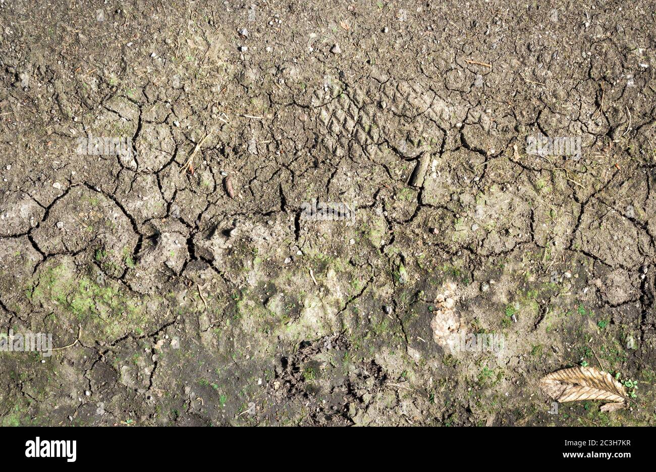 Cracked and dried earth with grass Stock Photo - Alamy