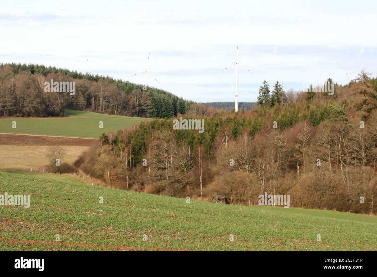 Fields and forests Stock Photo - Alamy