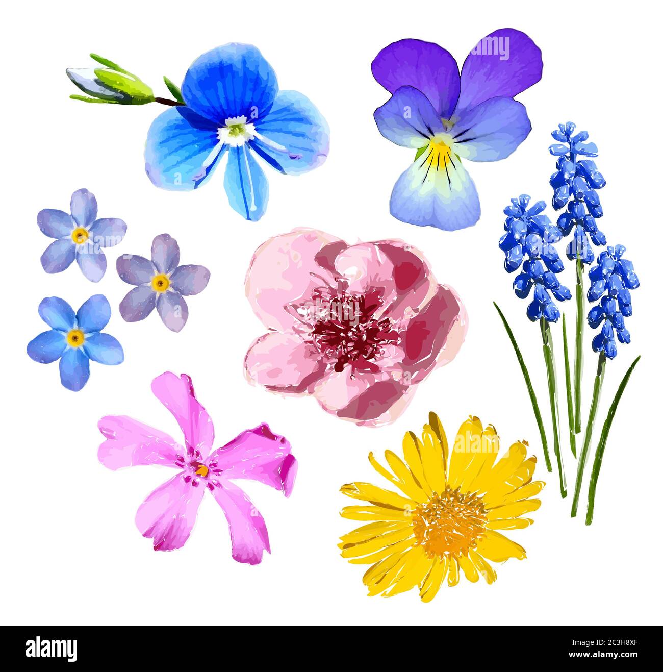 Set of colorful spring flowers isolated on white background ...