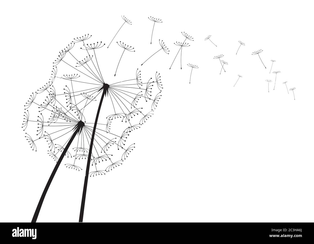Dandelion composition. Vector Illustration. EPS file Stock Vector Image ...