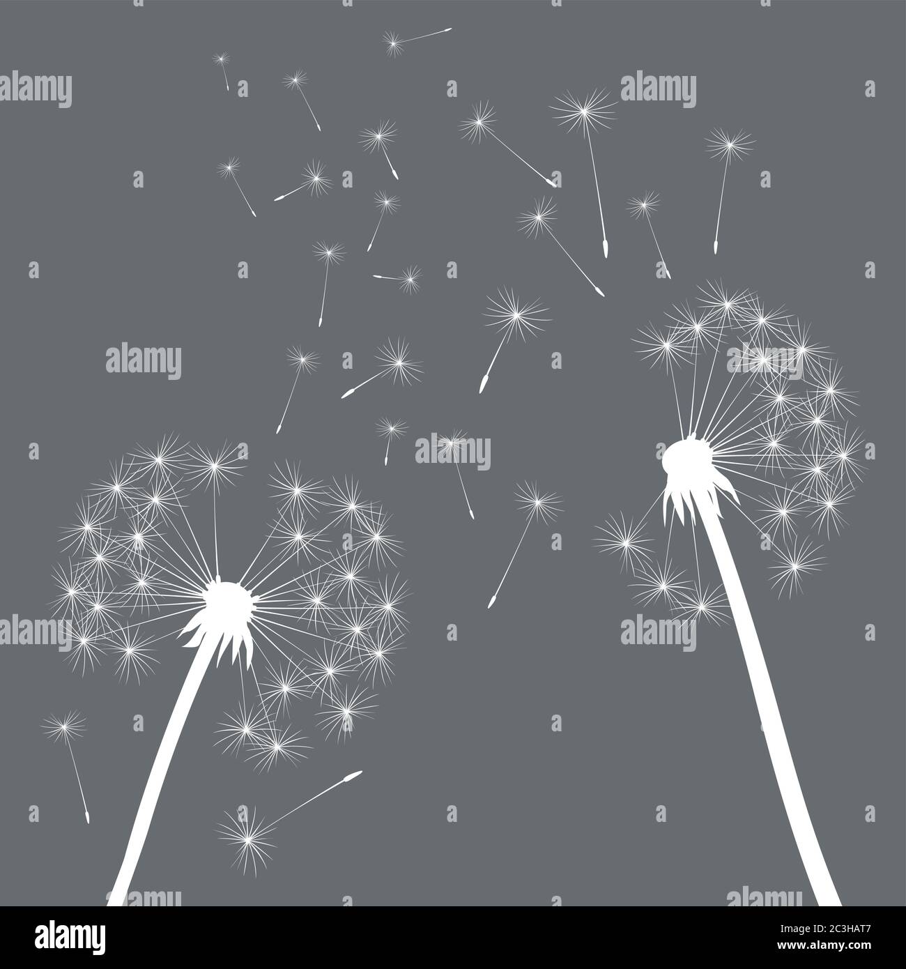 Dandelion on colour background. Vector illustration. EPS file Stock ...