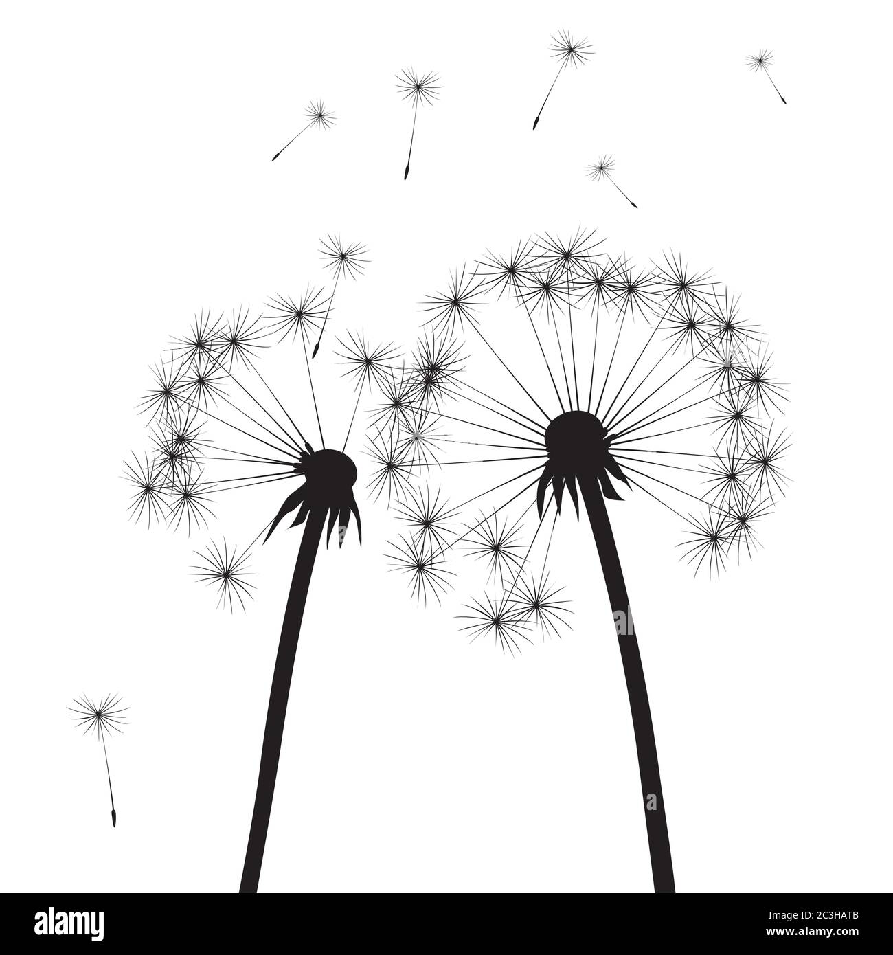 Dandelion composition. Vector Illustration. EPS file Stock Vector Image ...