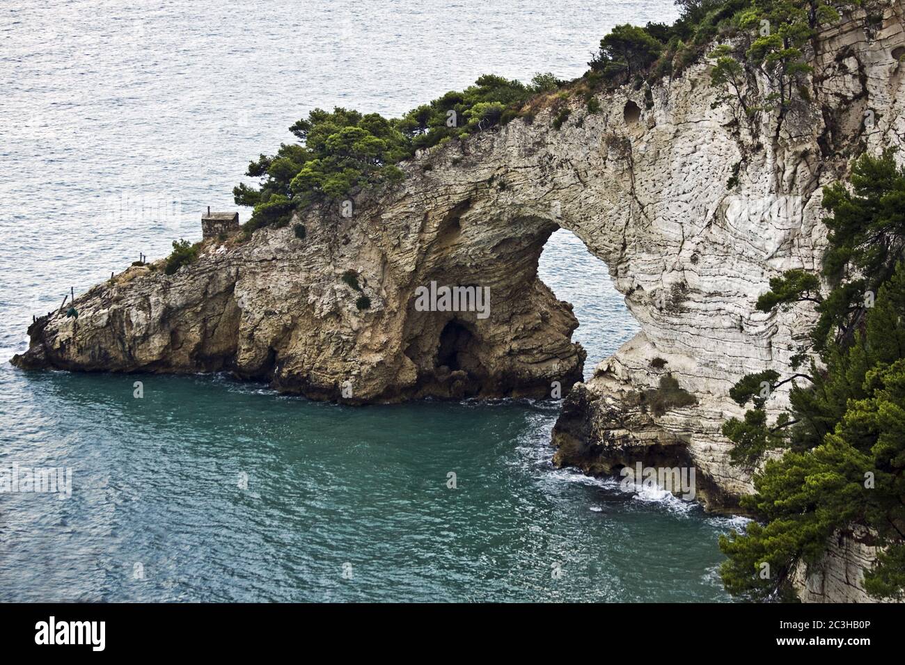 Cliff covered in greenery surrounded by the sea under the sunlight at ...