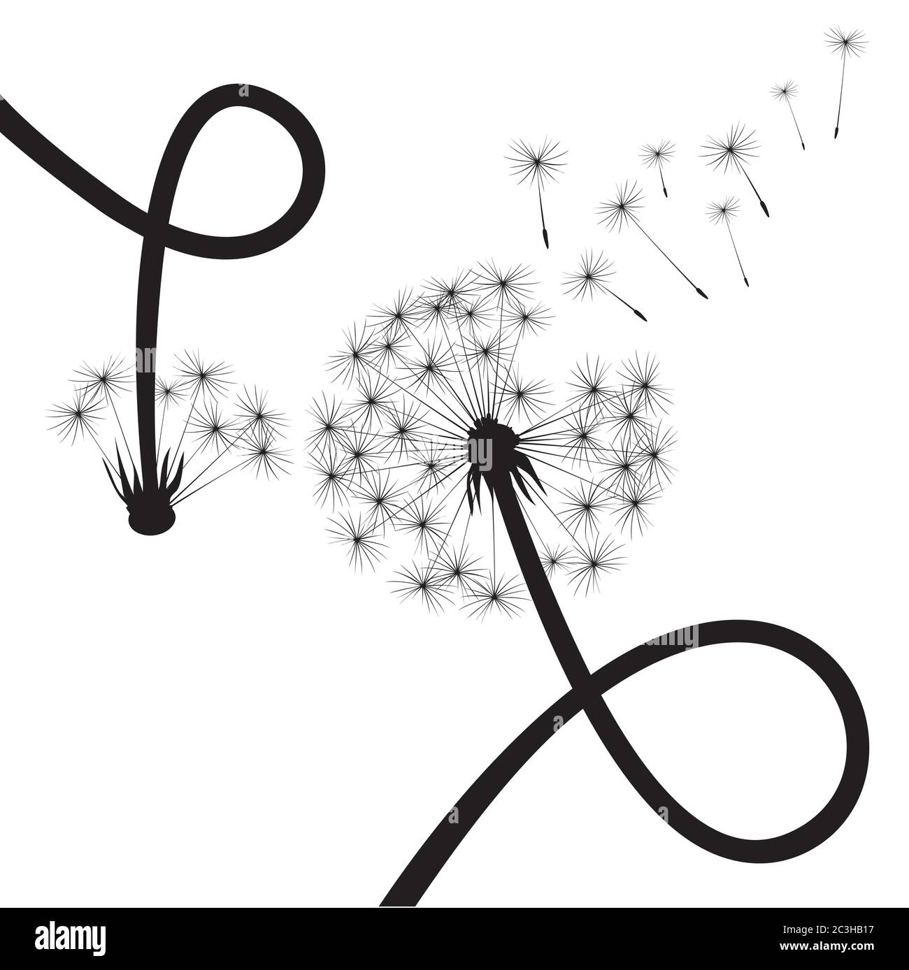 Dandelion black background art Stock Vector Images - Alamy