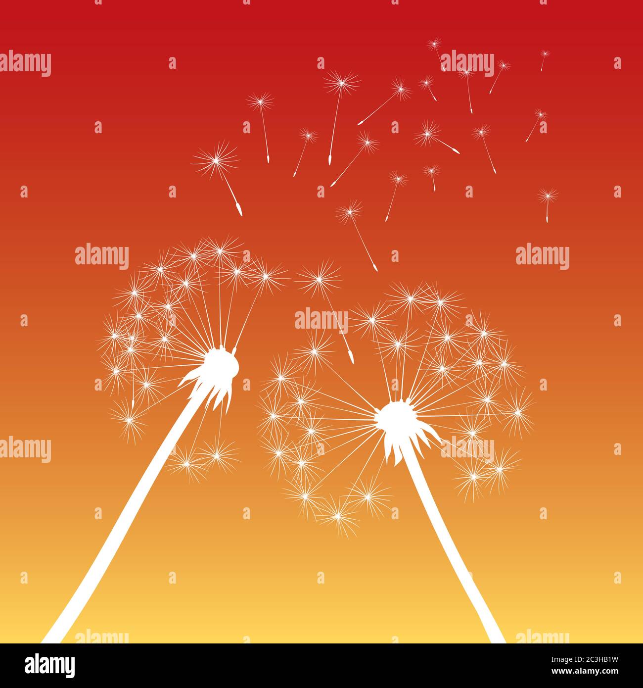 Dandelion on colour background. Vector illustration. EPS file Stock ...