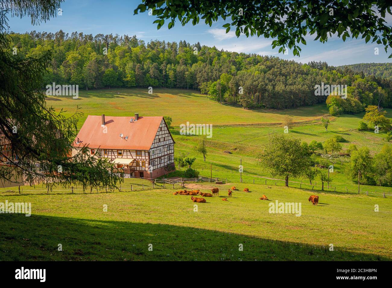 Odenwald region hi-res stock photography and images - Alamy