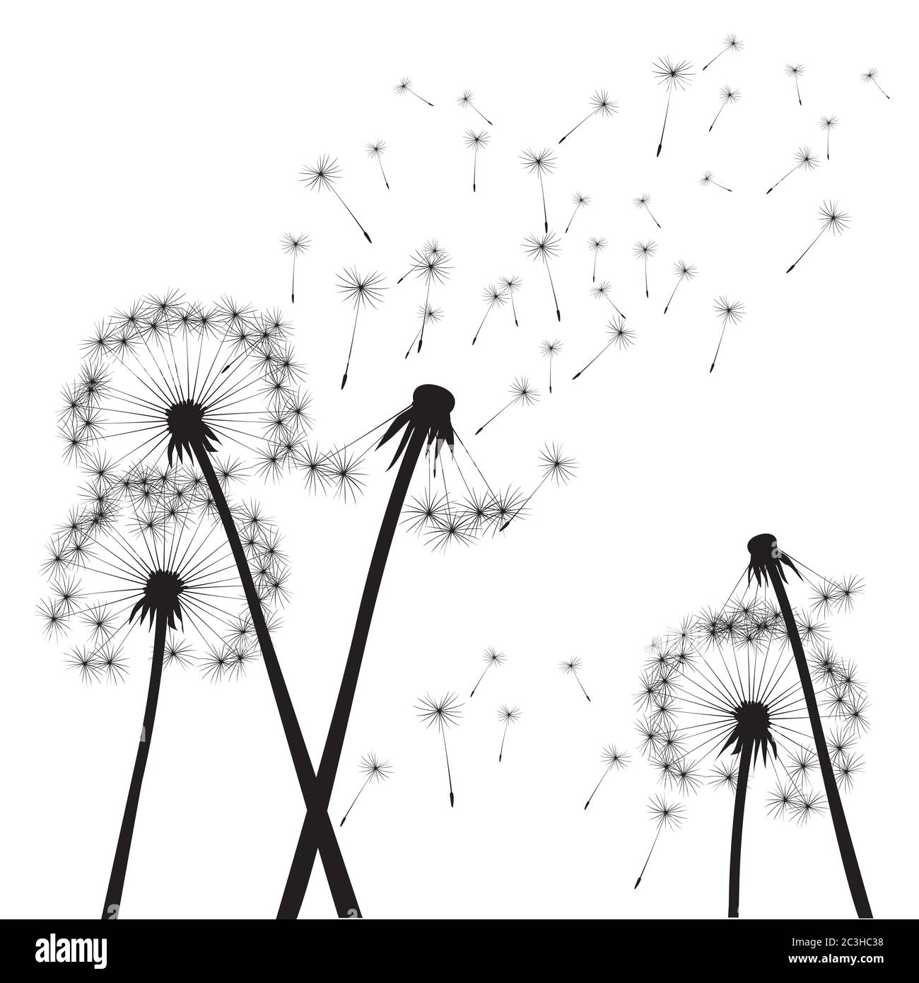 Dandelion composition. Vector Illustration. EPS file Stock Vector Image ...