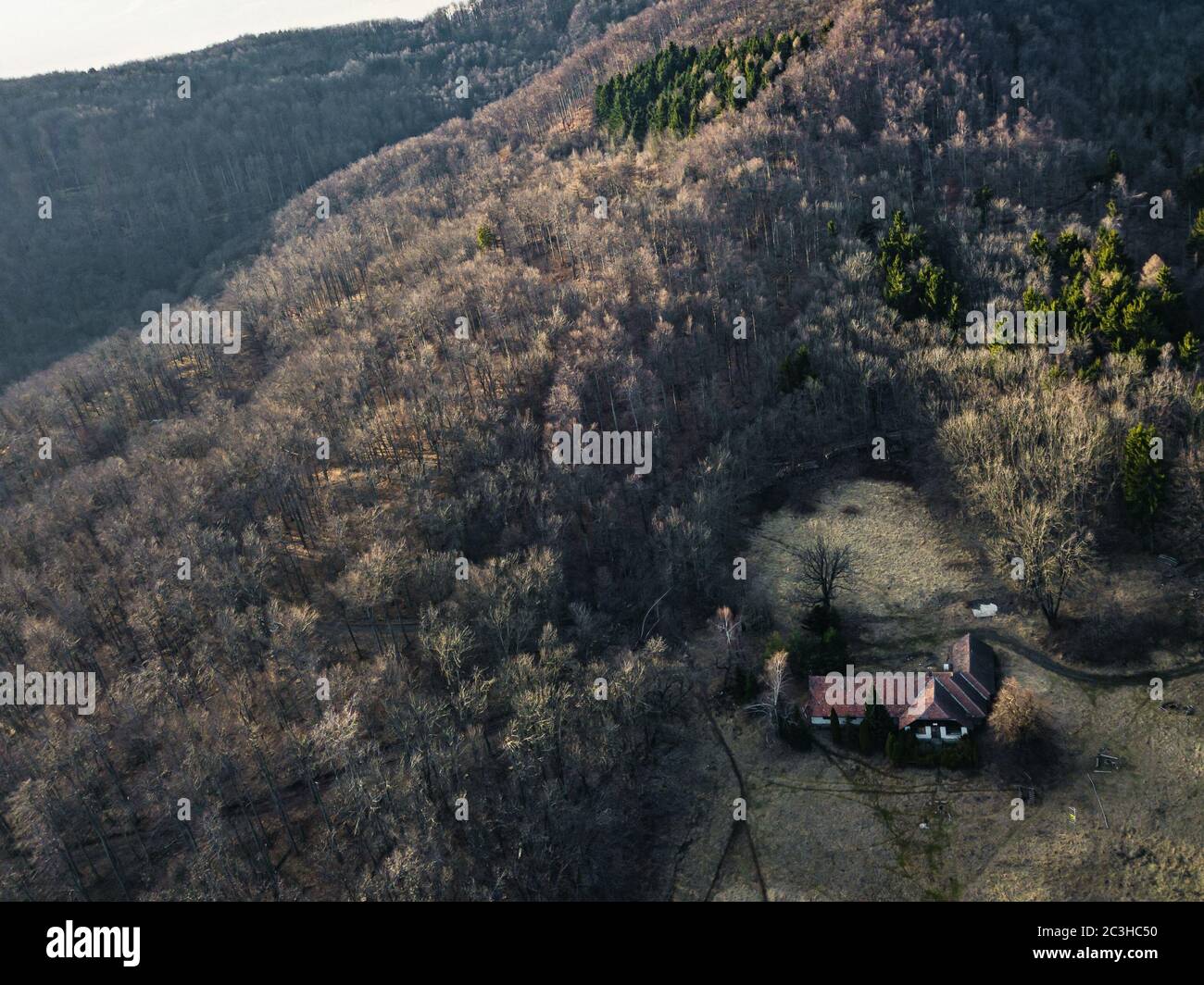 Aerial shot of the building in the forest in autumn Stock Photo - Alamy