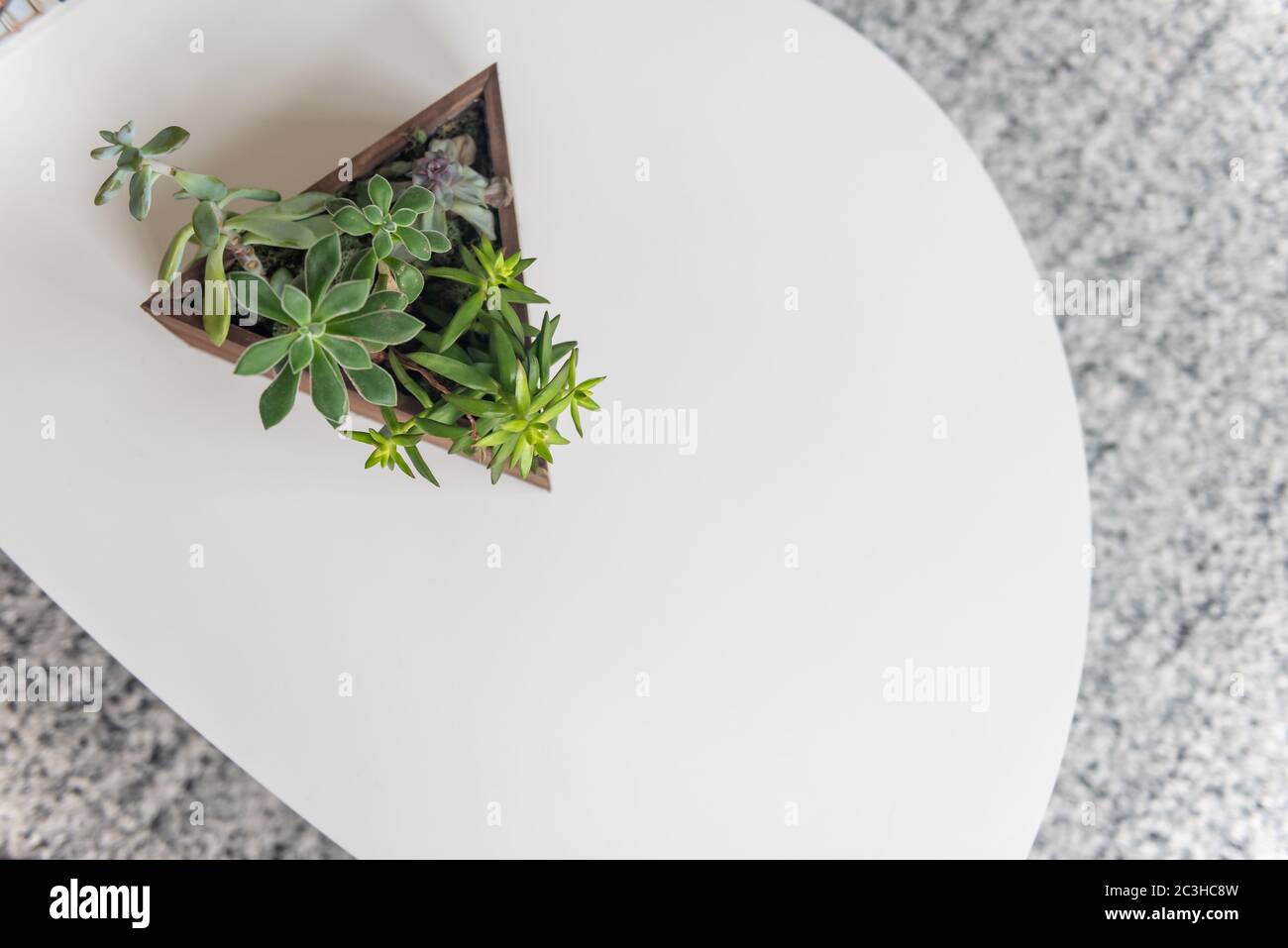 Triangle flower hi-res stock photography and images - Alamy