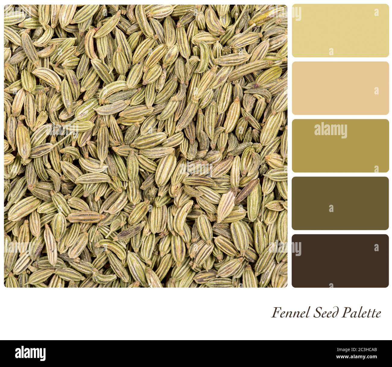 Colour mood chart Cut Out Stock Images & Pictures - Alamy