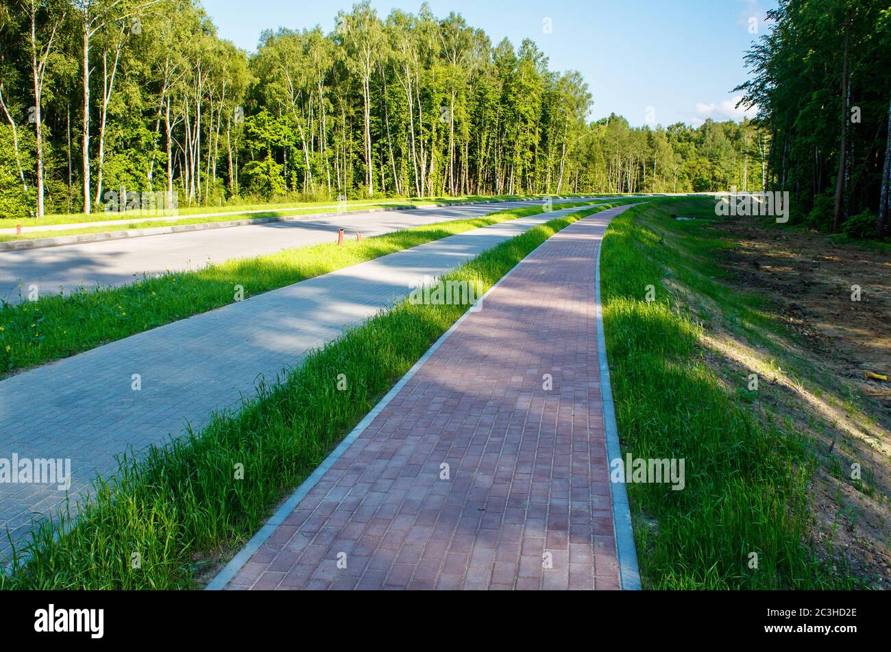 new modern road through the forest on sunny summer day Stock Photo - Alamy