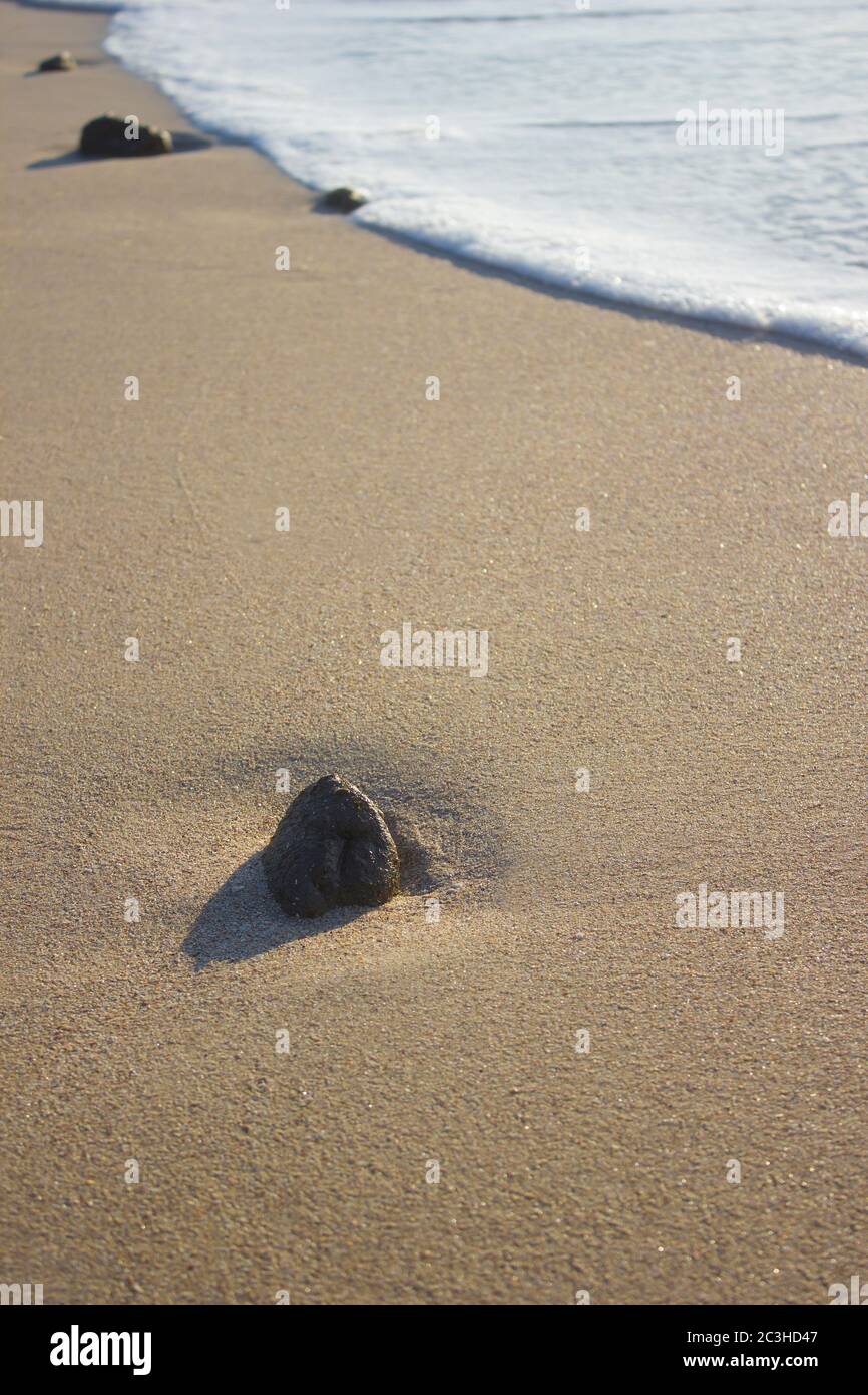 Stone in foam from a sea wave on the sand sunrise background of the sea ...