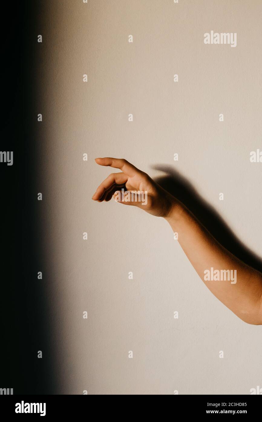 Vertical shot of a graceful hand with a shadow on a white background ...