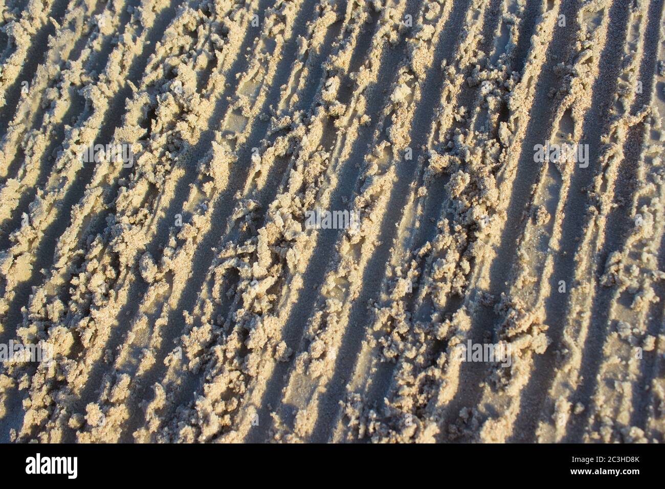 Traces of scratches in the sand sunrise background sea, texture beach ...