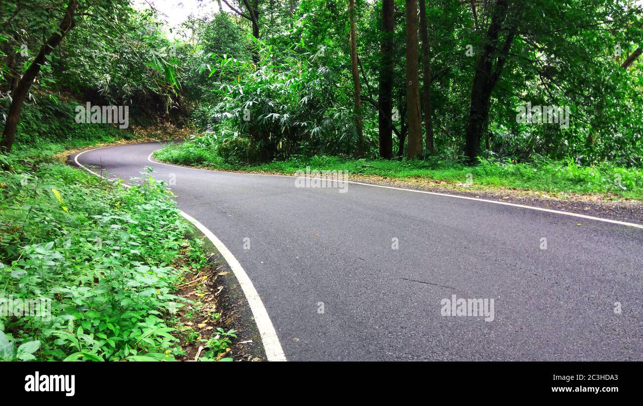 Selective focus view hi-res stock photography and images - Alamy