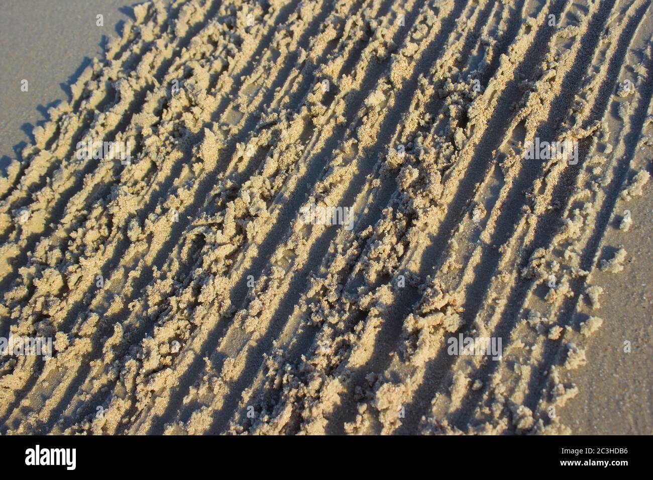 Traces of scratches in the sand sunrise background sea, texture beach ...