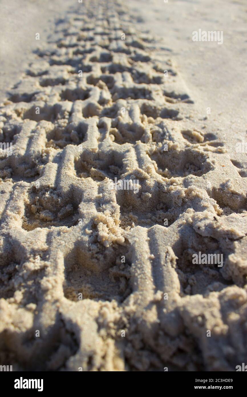 Footprint in the sand from a car tire or quadro cycle at sunrise on a ...