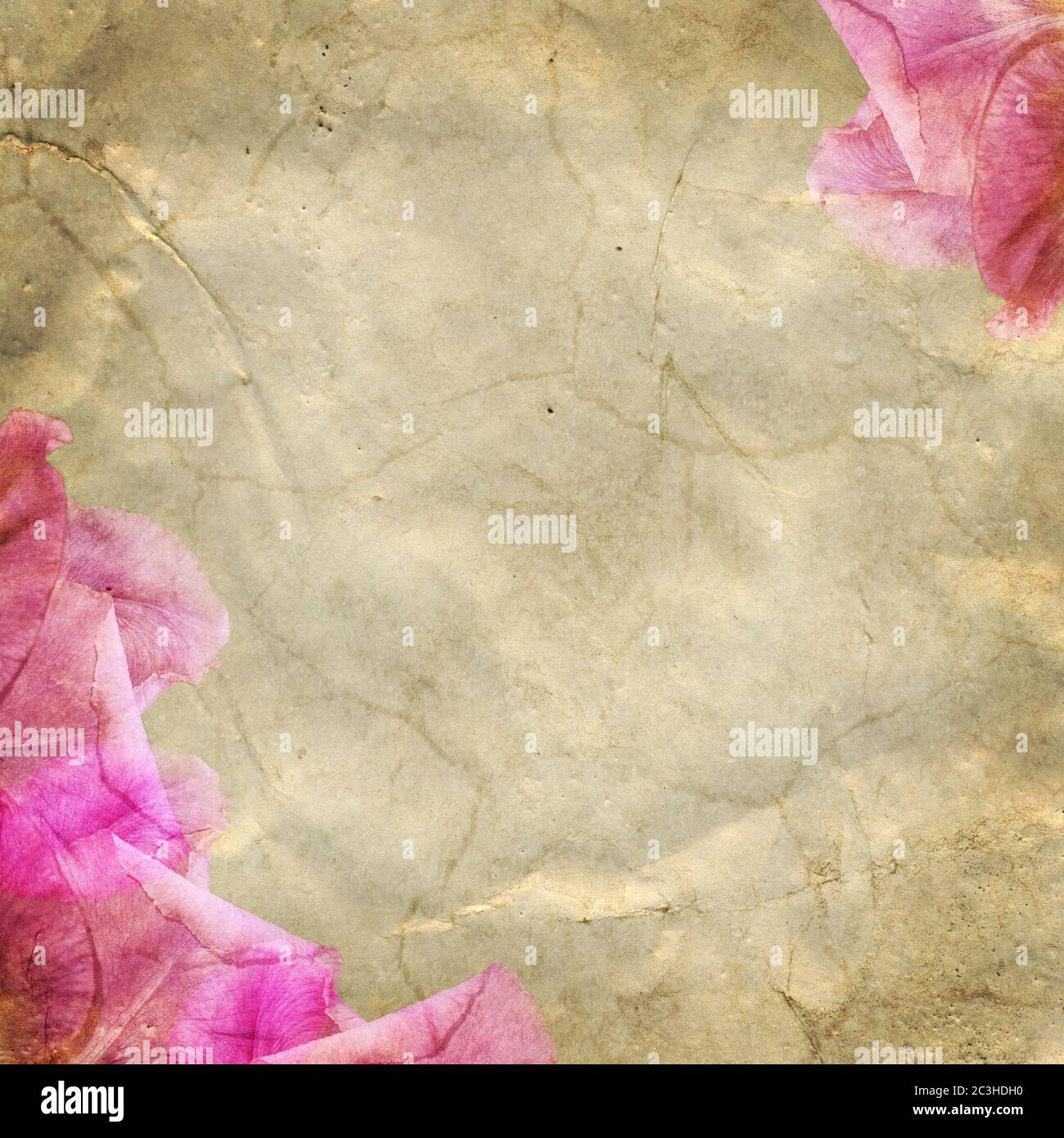 old paper with floral pattern Stock Photo - Alamy