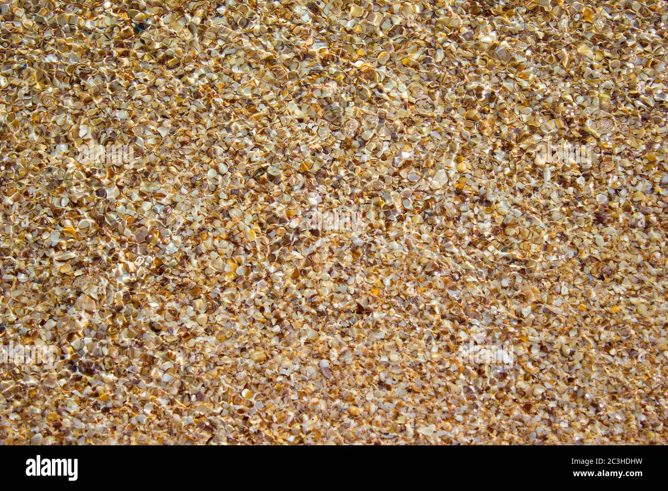 Shore beach water sea wave sand shells, vacation background texture ...