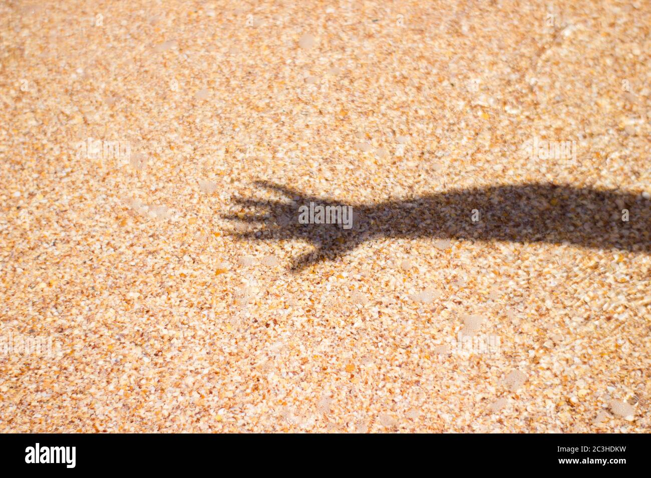 Sea water wave shadow from girl's hand on sand background texture sunny ...