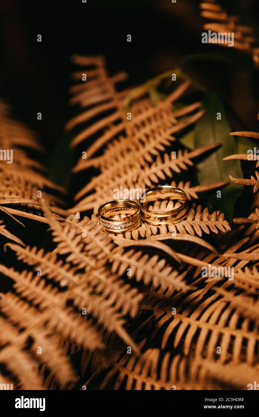 Vertical shot of a wedding ring on top of a dry plant Stock Photo - Alamy