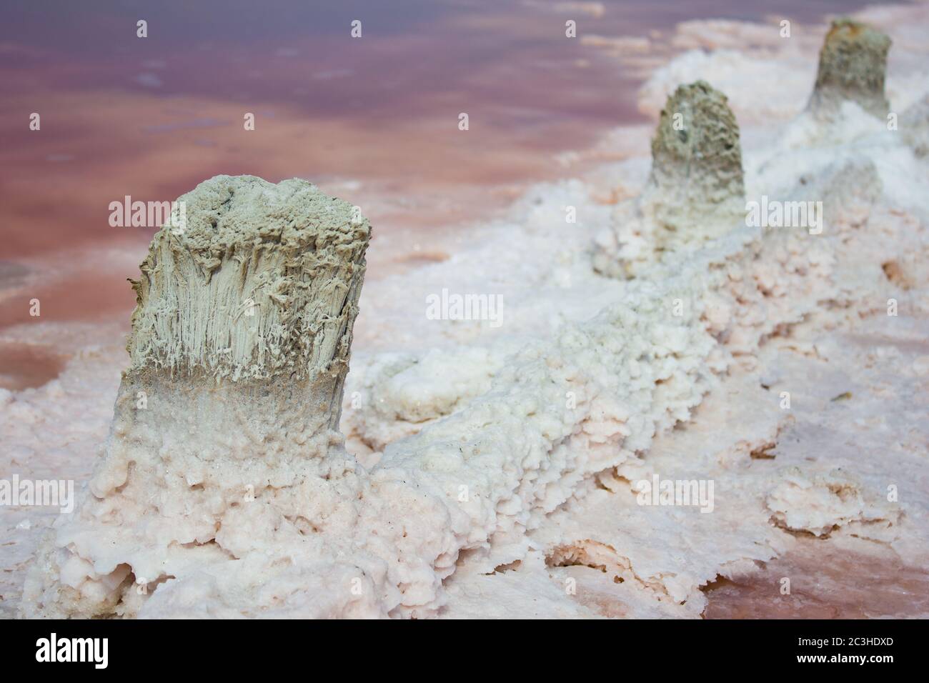 Rose water in a salt lake, extraction of sea salt - landscape ...