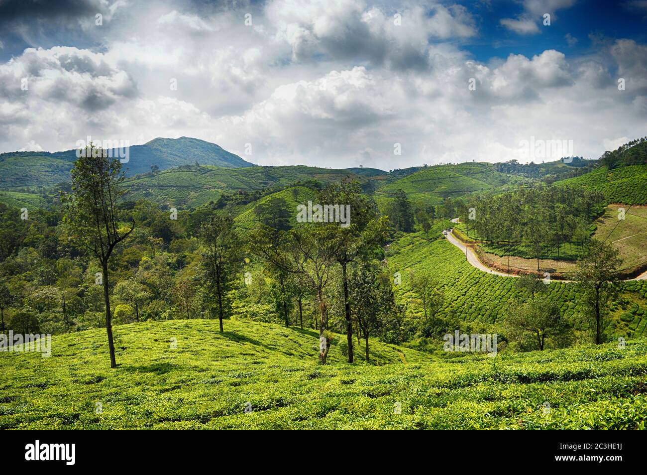 Beautiful Greenery view of kerala valley Stock Photo - Alamy