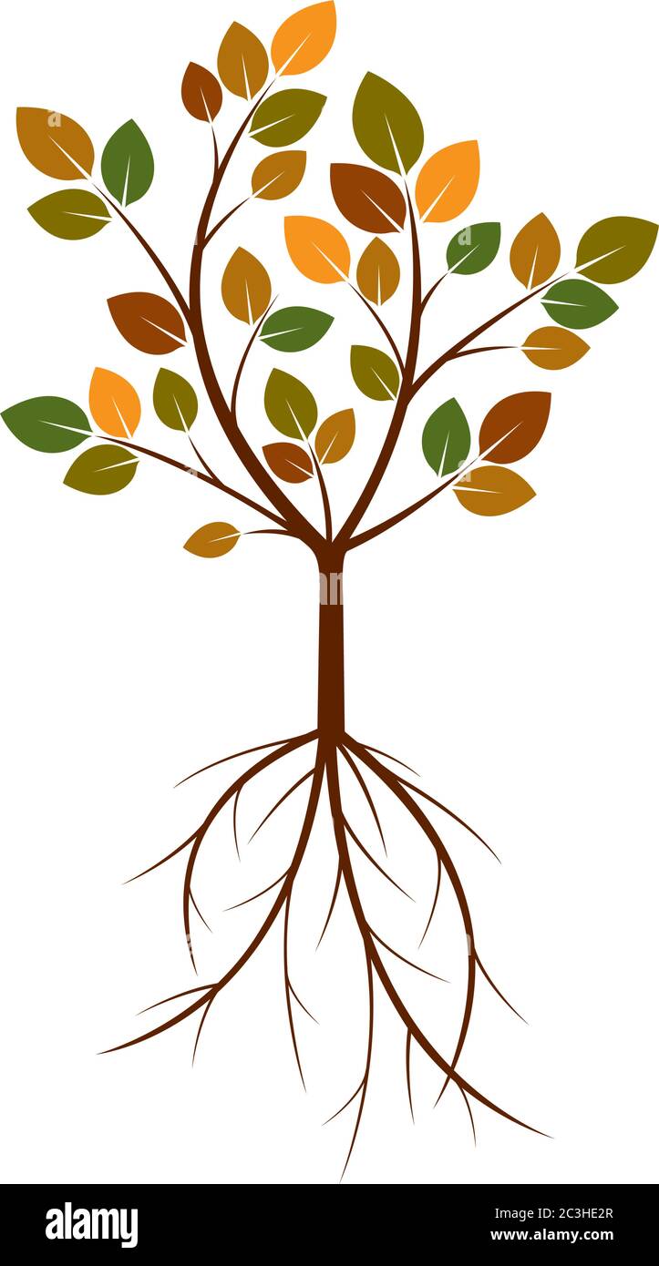 Autumn Tree and Roots. Vector graphic. EPS file Stock Vector Image ...