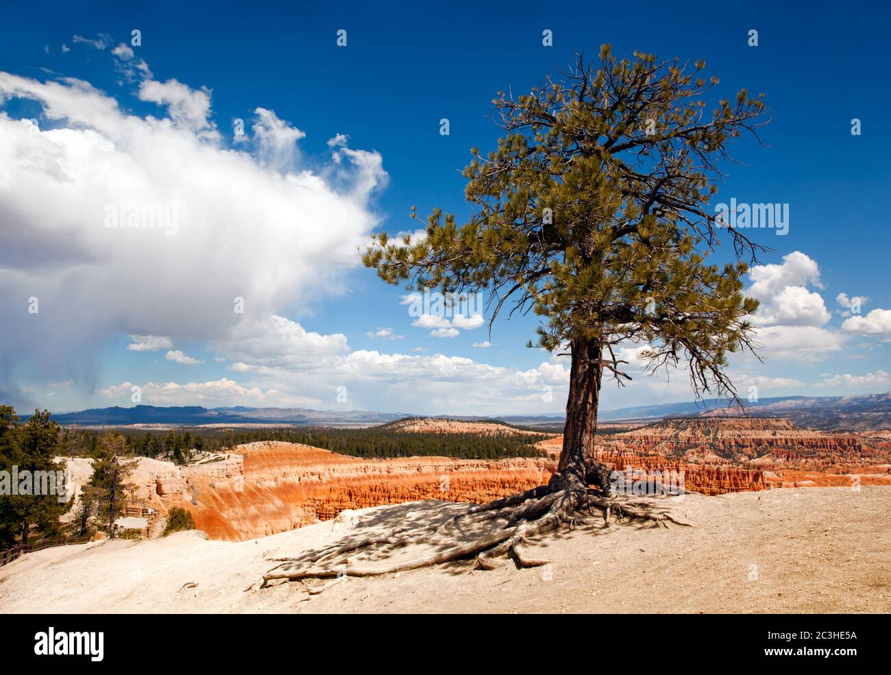 Brice canyon national park hi-res stock photography and images - Alamy