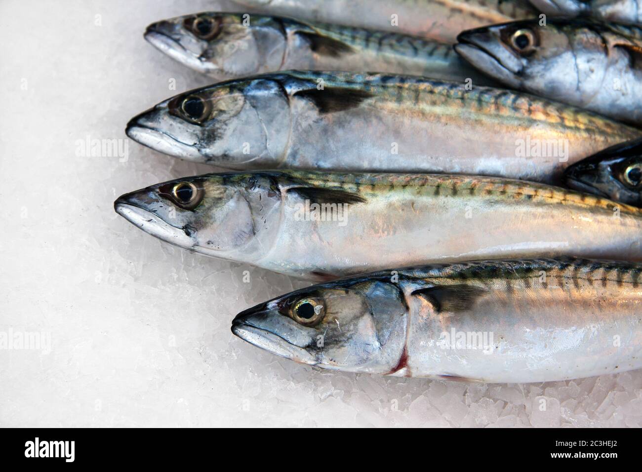 Mackerel on ice for sale at a French fish market Stock Photo - Alamy