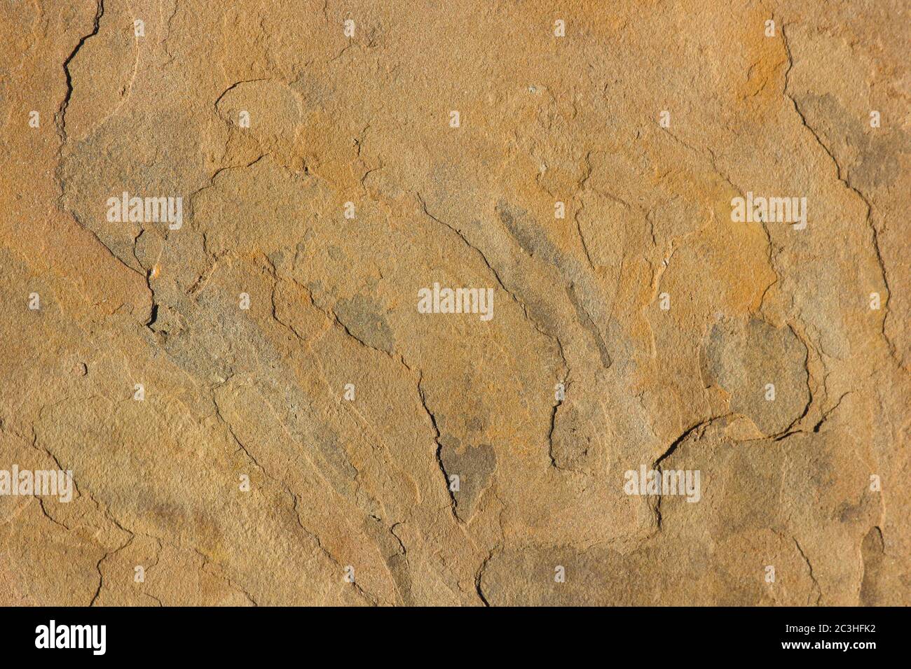 Yellow Sandstone Natural Face Surface Stock Photo - Alamy