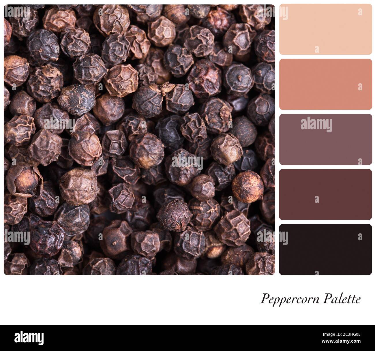 Digital colour swatch Cut Out Stock Images & Pictures - Alamy