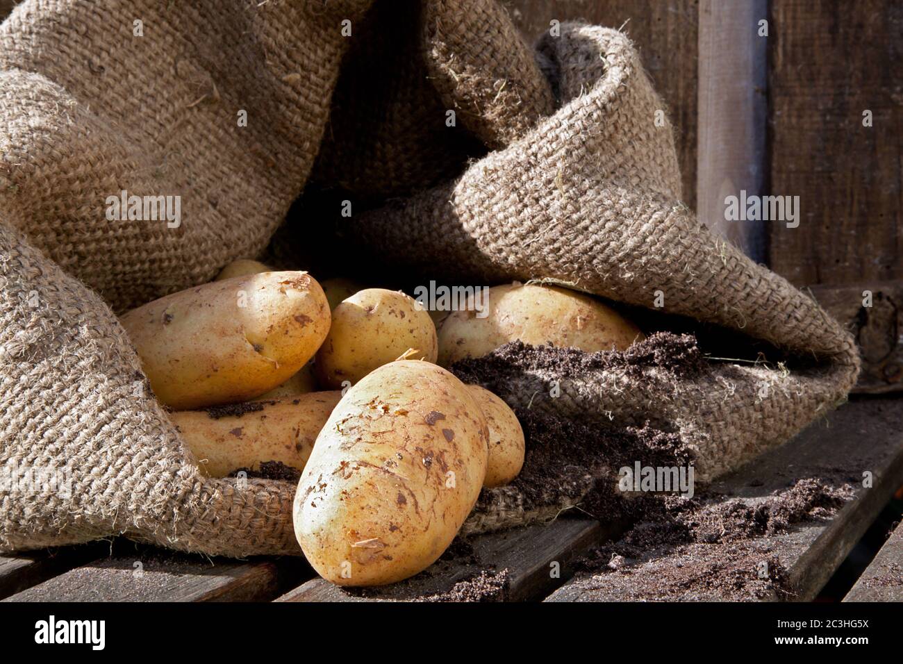 Plant earth sack hi-res stock photography and images - Alamy