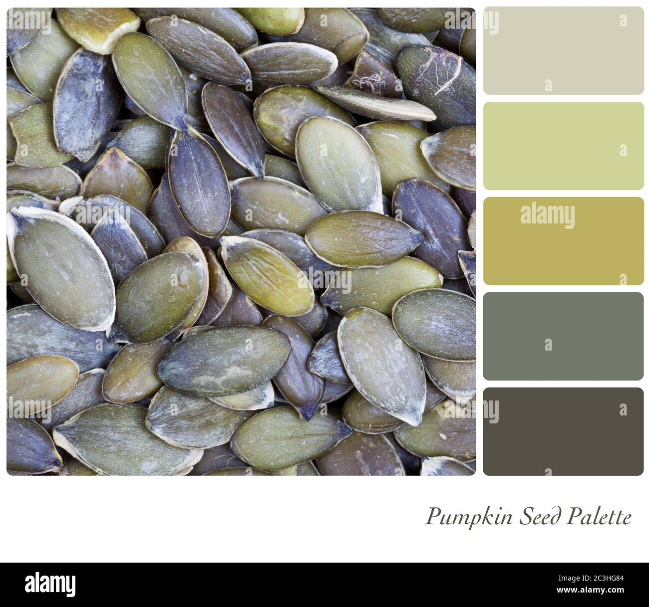 A pumpkin seed background colour palette with swatches of complimentary ...