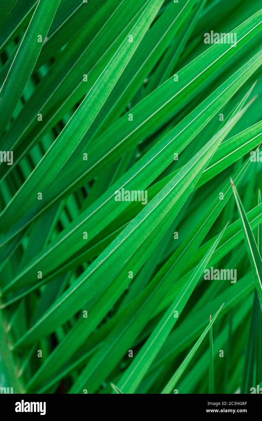 Marine color hi-res stock photography and images - Alamy