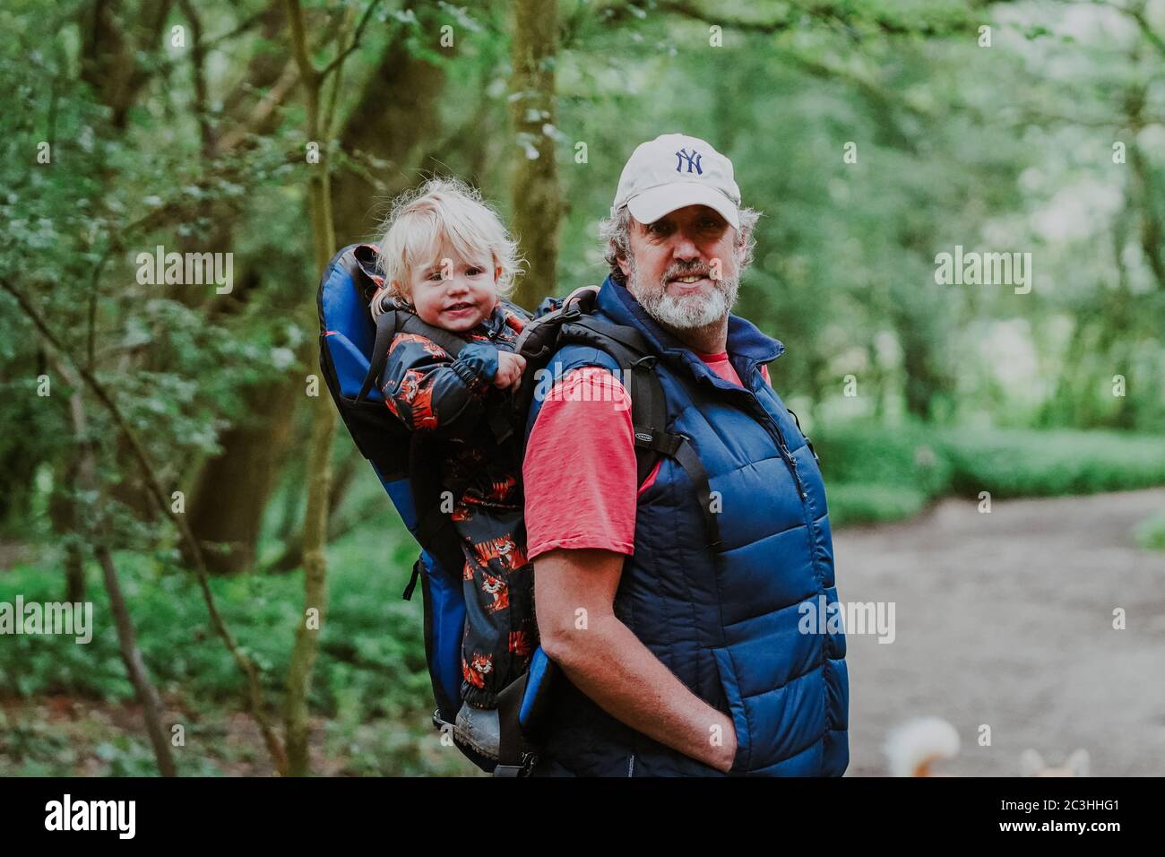 Grandfather carrying Grandson in a backpack on woodland walk in the UK ...