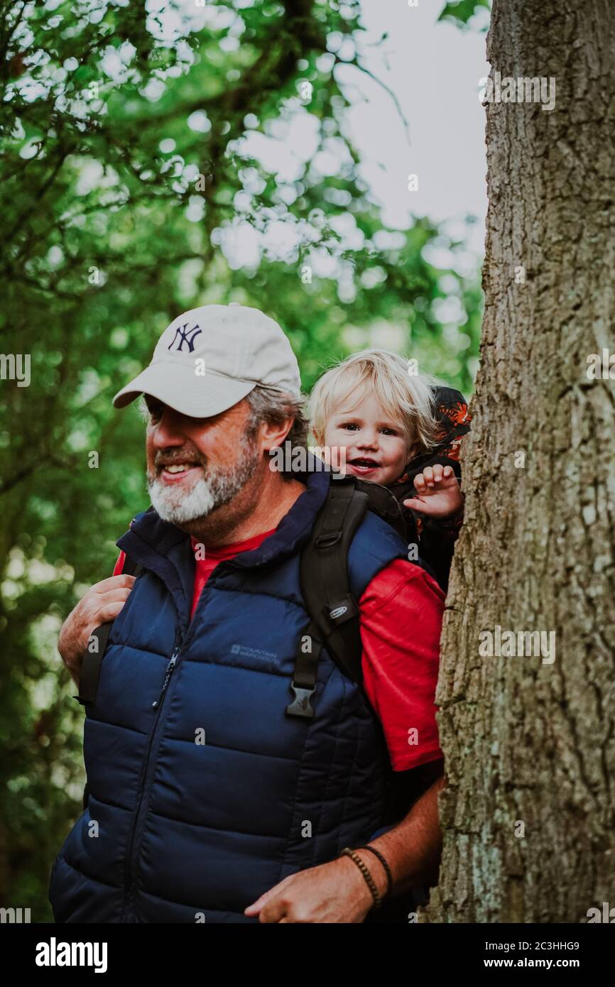 Grandfather carrying Grandson in a backpack on woodland walk in the UK ...