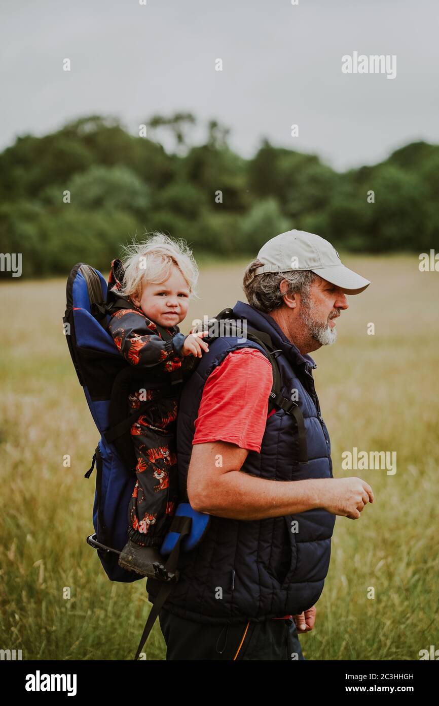 Grandfather carrying Grandson in a backpack on woodland walk in the UK ...