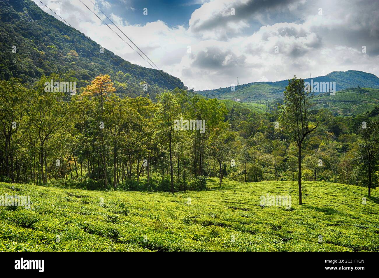 Beautiful Greenery view of kerala valley Stock Photo - Alamy