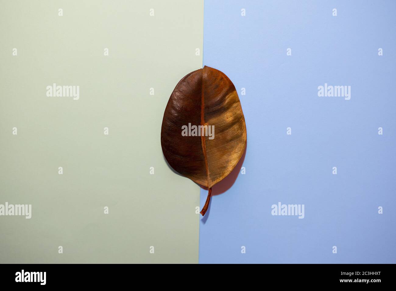 Dull green hi-res stock photography and images - Alamy