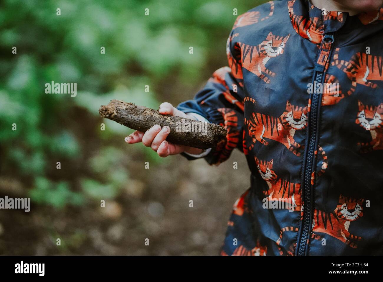 Children playing forest sticks hi-res stock photography and images - Alamy