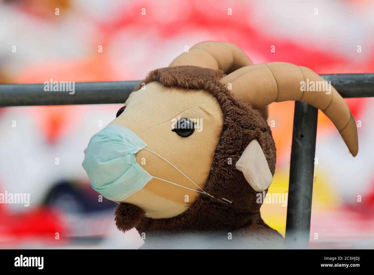 Koln goat hi-res stock photography and images - Alamy